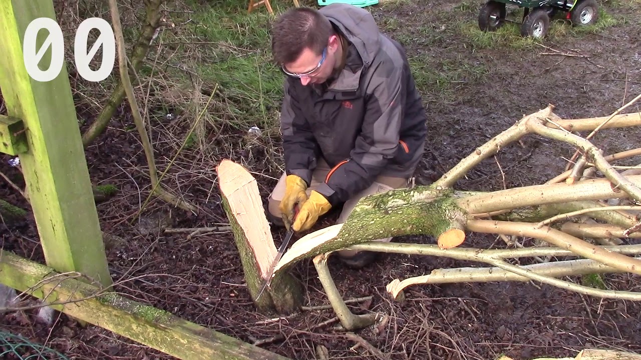 Hedge laying at New House Farm Playing Field in Breightmet - YouTube