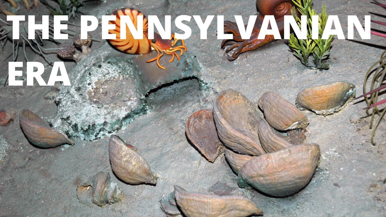 Pennsylvanian Period Fossils