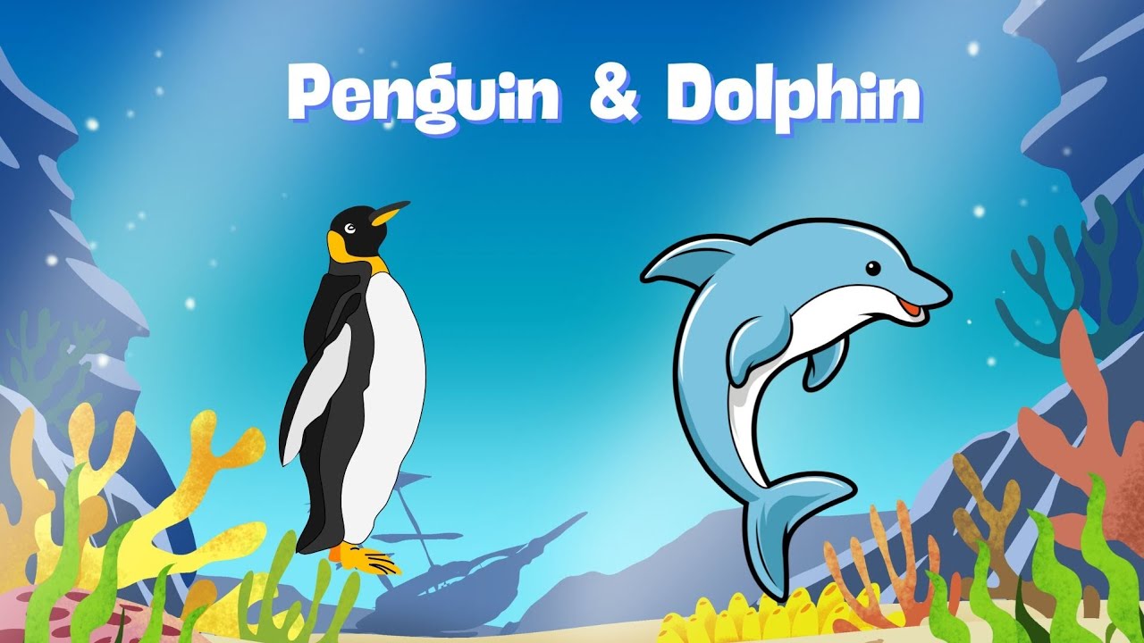 Penguin and Dolphin - YouTube