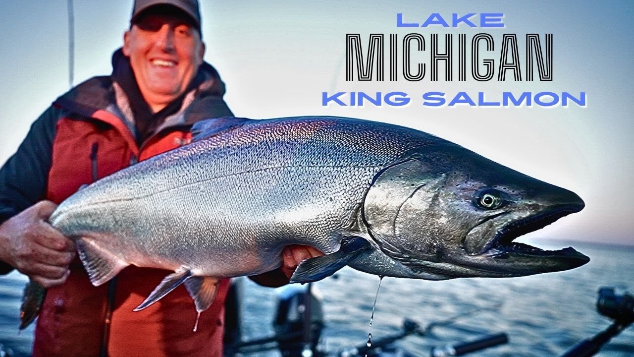 Catching King Salmon on Lake Michigan! - YouTube