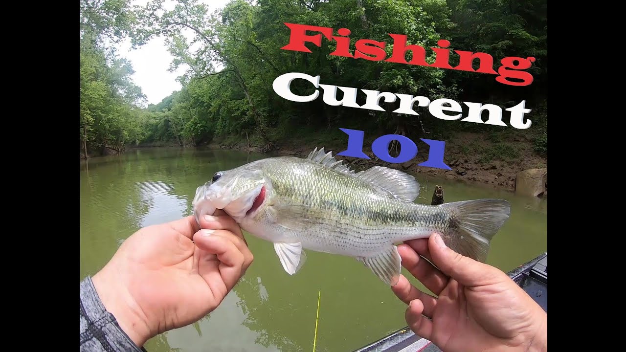 What YOU NEED to know about fishing River systems and Creeks, Ohio ...