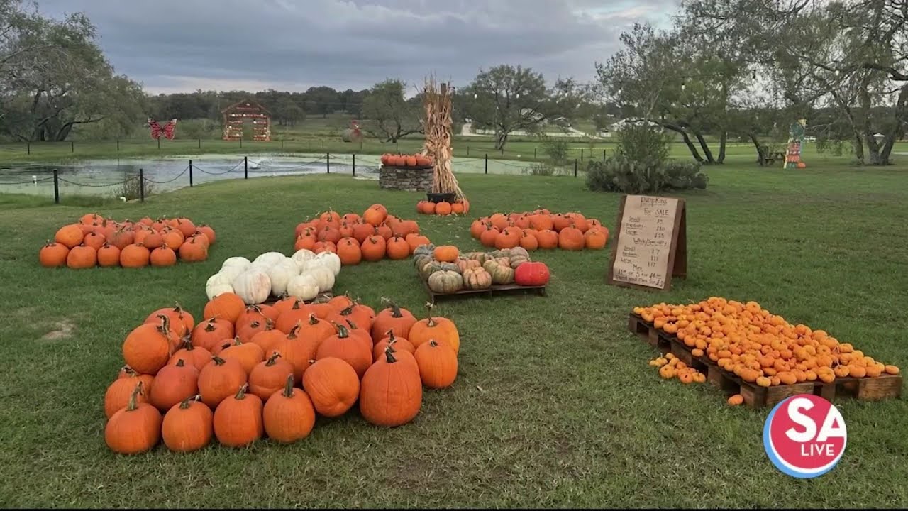 Celebrate the season at this fun fall festival - YouTube