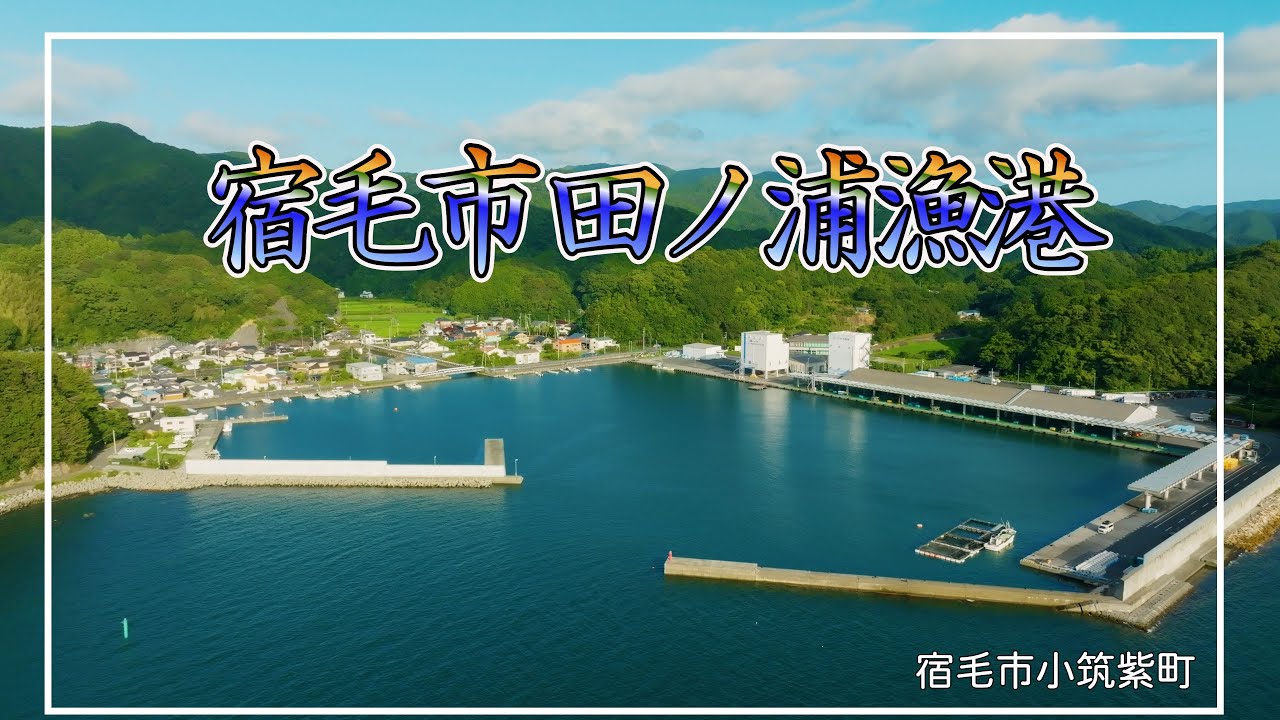 宿毛市 田ノ浦漁港 Sukumo City Tanoura Fishing Port - YouTube