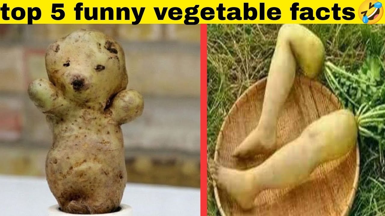 top 5 funny vegetables facts || amazing facts vegetables - YouTube