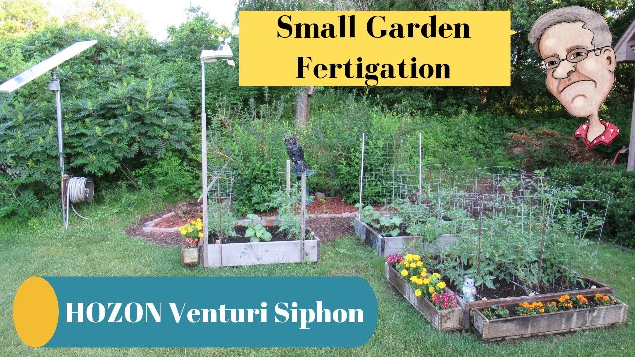 Small Garden Fertigation MADE EASY - Hozon Siphon Mixer - YouTube
