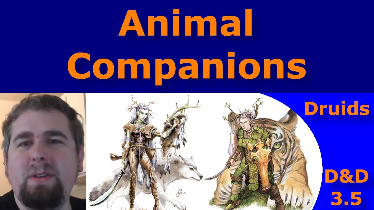 Dungeons and Dragons 3.5 Druids Animal Companions (A Deeper Dive) - YouTube