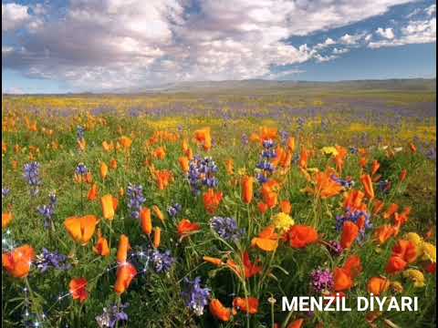 Annelerin Nelere Hakkı Vardır. Annelerin Mertebeleri (Molla Ahmet Hoca)