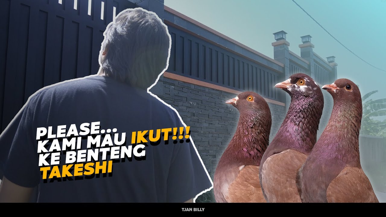 VLOG!! MERPATI PLAYER TEAM ELITE PINDAH KANDANG - YouTube