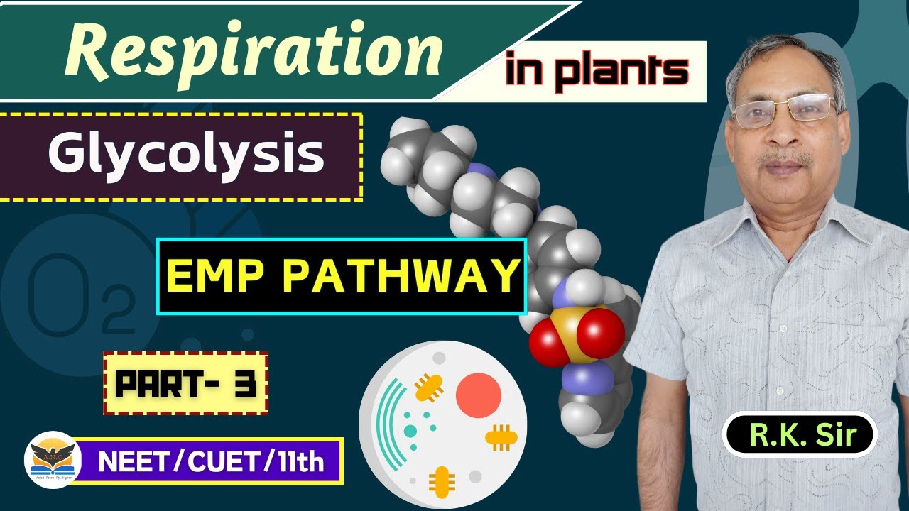 Glycolysis