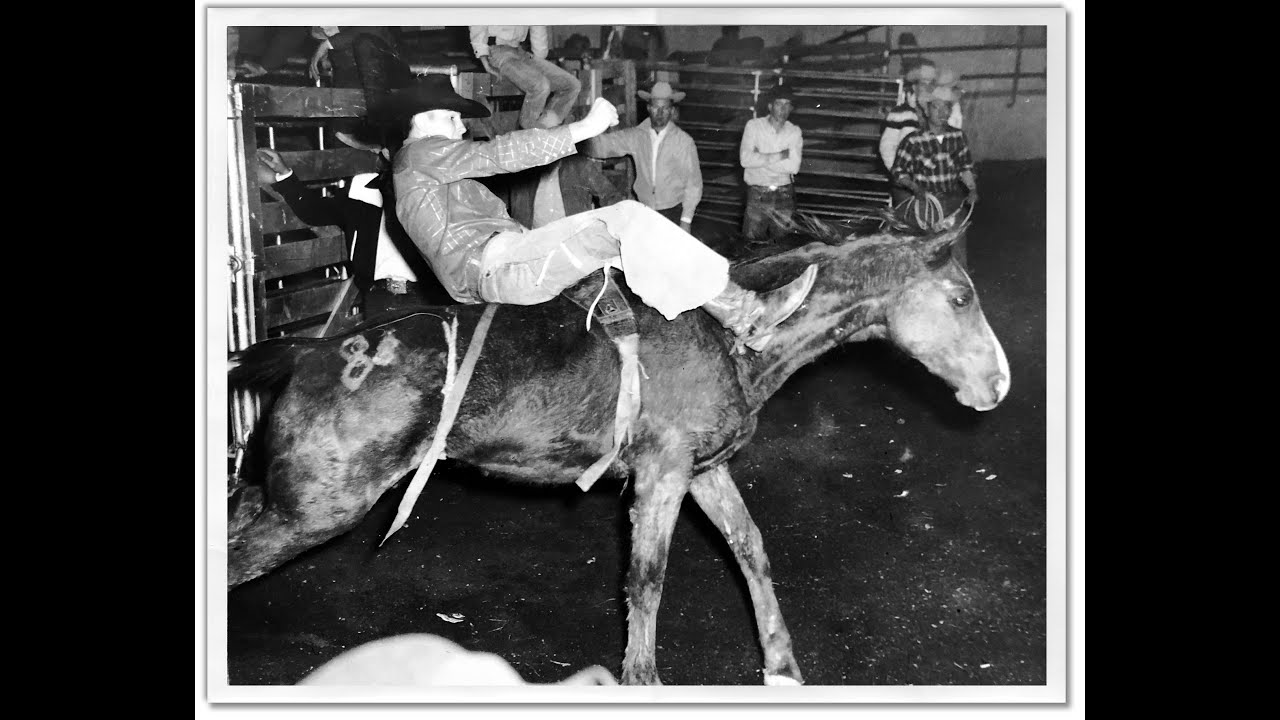 4. Dr. Joe Bates Armstrong's short lived rodeo career, "Go Bates ...