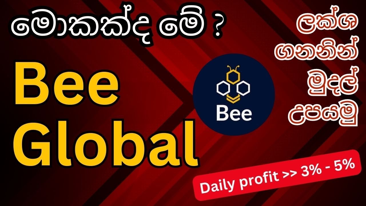 Bee Global Exchange | 2 Trading Signals | Daily Profit 3% - 5% - YouTube