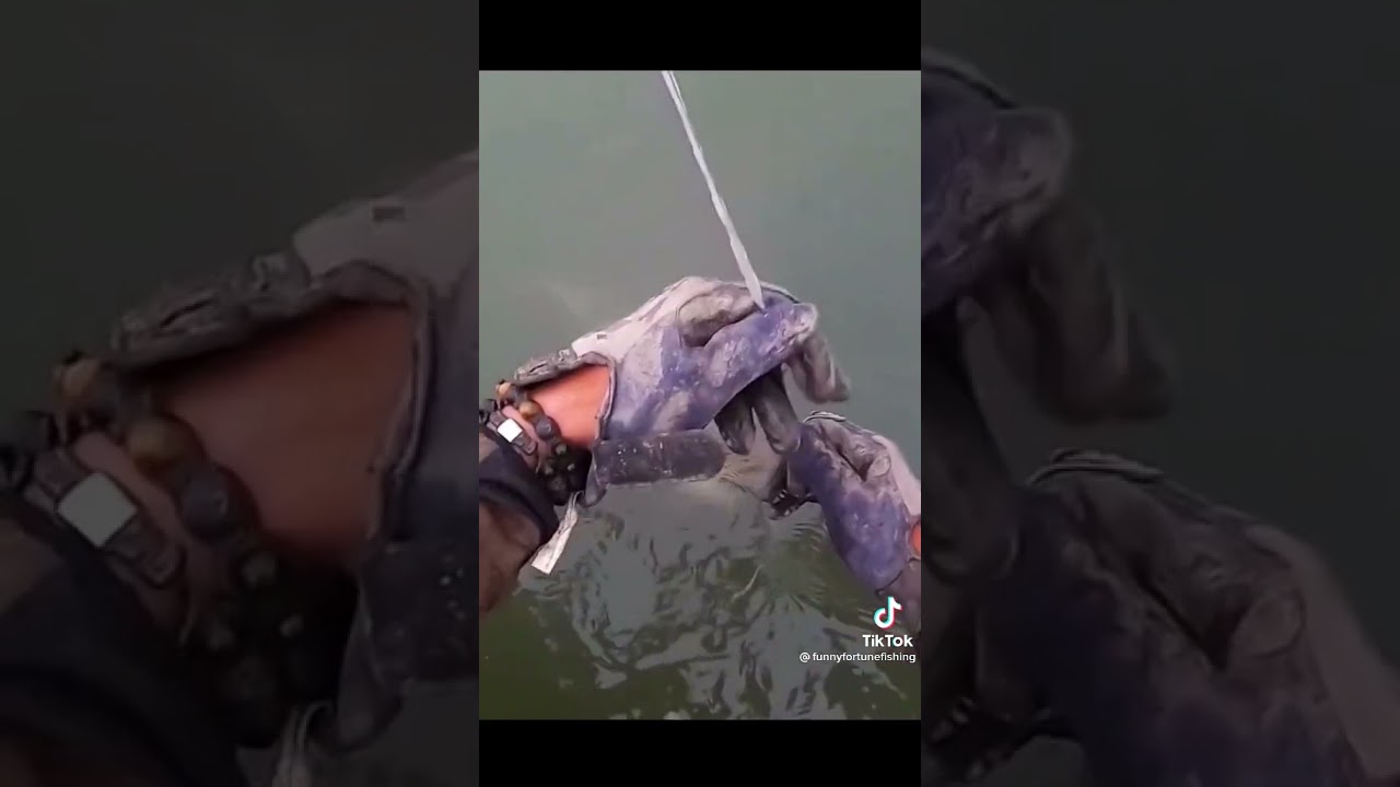 carna.fishing.family_ZSeLrAPD-1Poultry #Shortsfishing - YouTube