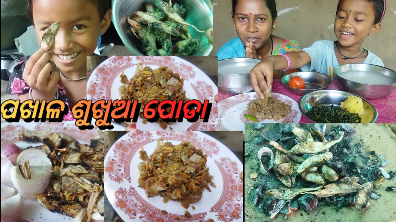 ପଖାଳ ସାଙ୍ଗକୁ ଶୁଖୁଆ ପୋଡା ଛେଚା //Dry fish recipe ||basi pakhala with ...