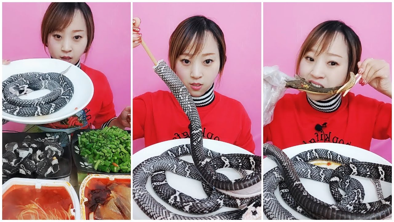 ASMR Eating Snake Challenge (Satisfying Eating Sounds) NO TALKING ...