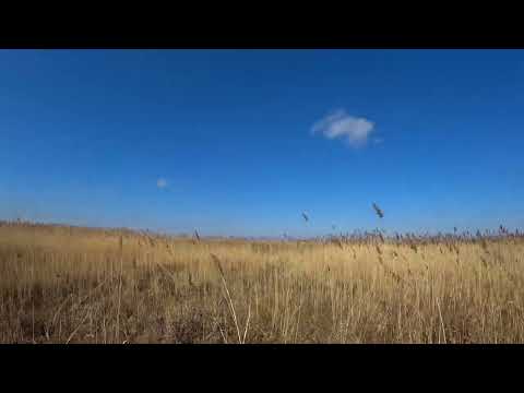Охота с другом  и лайками на барсука!!! 2021г