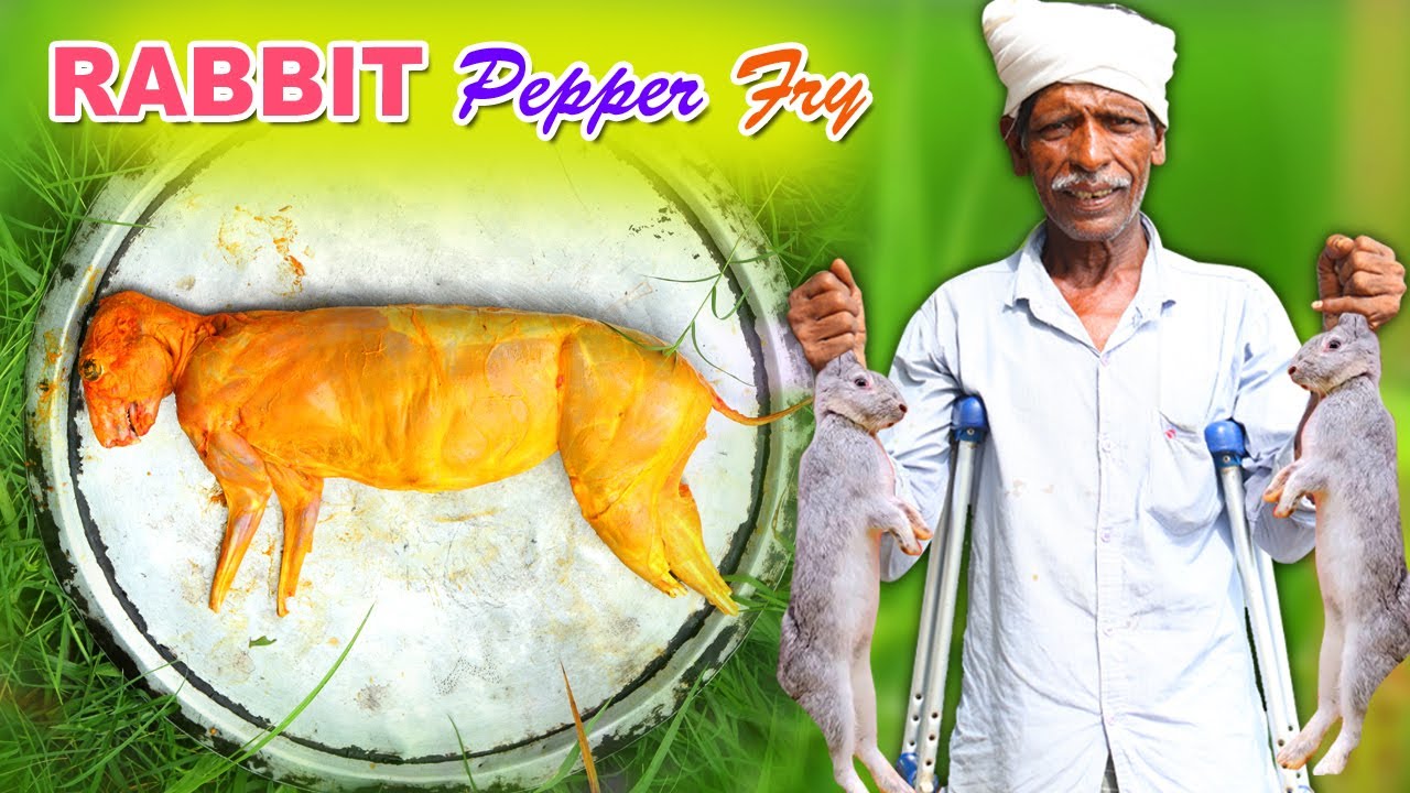 Rabbit Pepper Fry | Muyal Kari Milagu Varuval | village Kitchen Factory ...