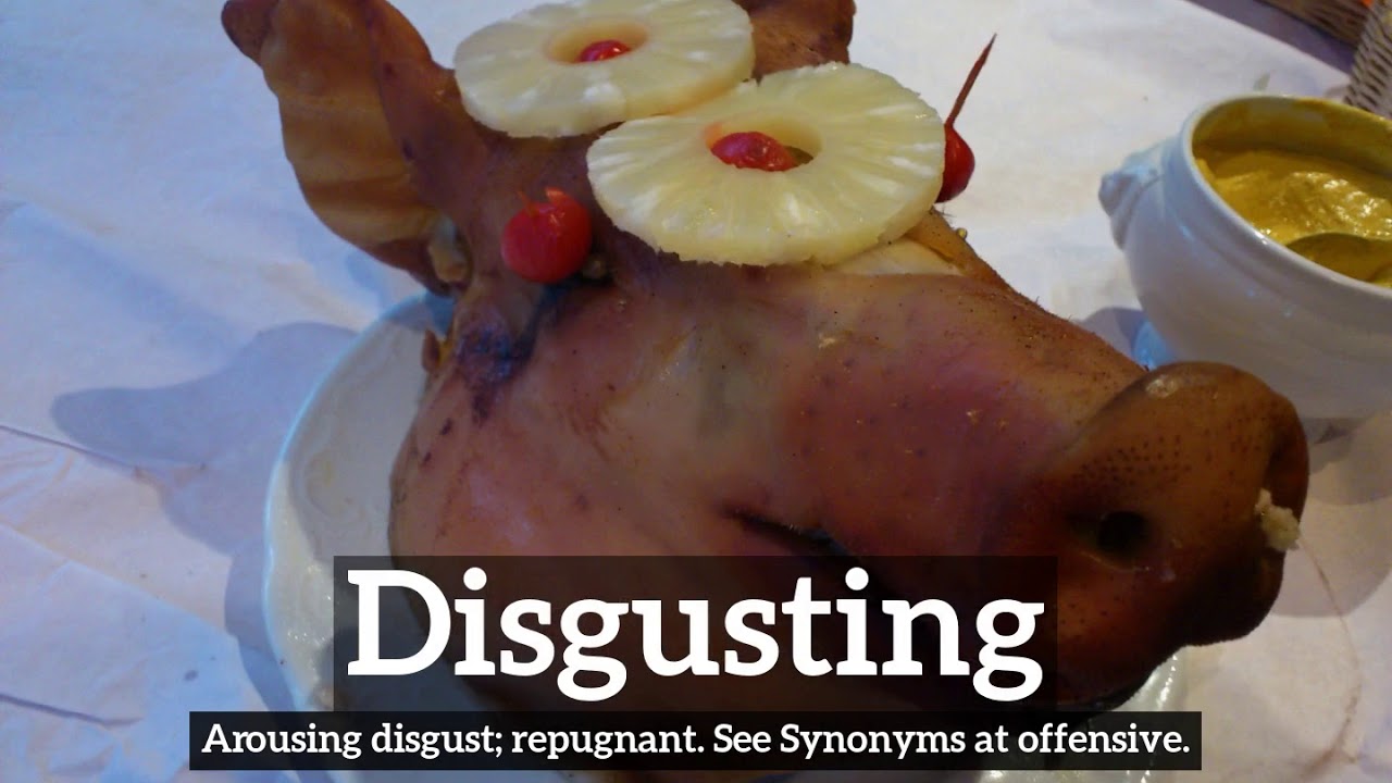How Does Disgusting Look What Is Disgusting How To Say Disgusting how-does-disgusting-look-what-is-disgusting-how-to-say-disgusting