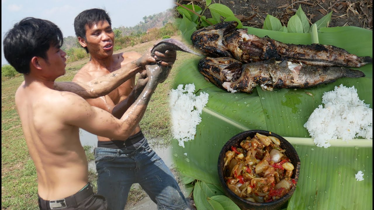 Catch And Cook Grill Fish - Food Wild Catch Fish By Hand And Cooking ...