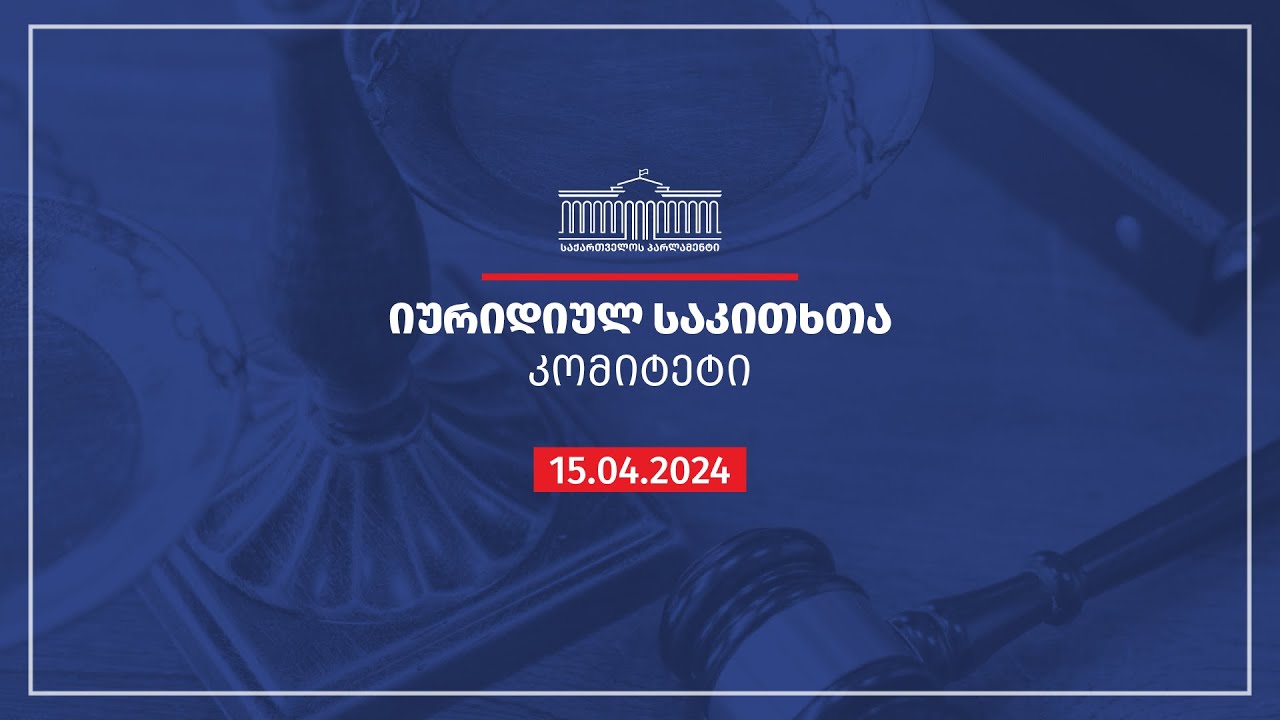 ადამიანის უფლებათა დაცვისა და სამოქალაქო ინტეგრაციის კომიტეტის სხდომა 12042024 Youtube