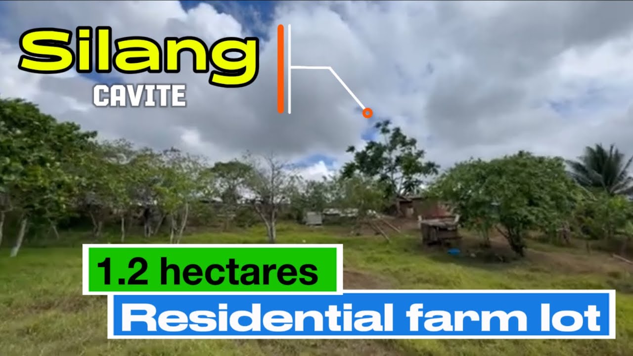 Nov-360 Silang cavite Residential farm lot 1.2 hectares | flat land ...