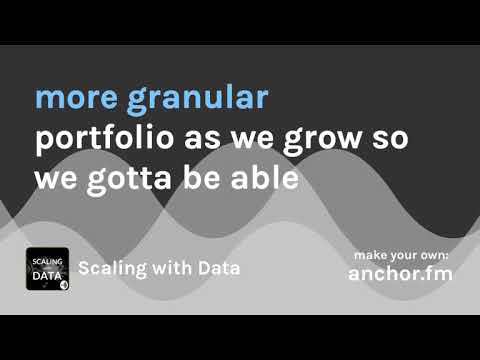 Scaling with Data Ep. 3 - The Road to One Billion - with Plexus Capital's Michael Painter - YouTube
