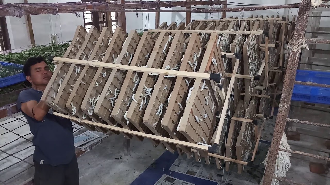 Hanging Rotary mountage Part-2( Sericulture Tripura) - YouTube