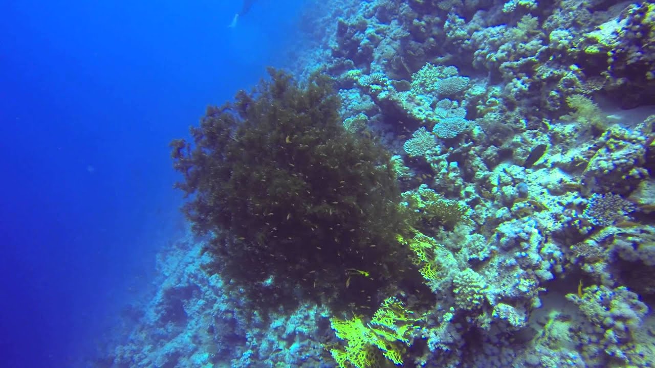 A víz alatt 2. rész officional HD - YouTube