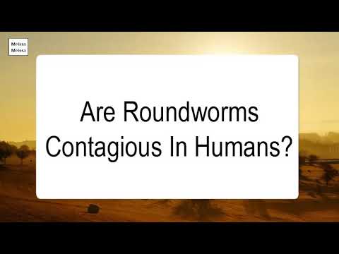 Are Roundworms Contagious In Humans - YouTube