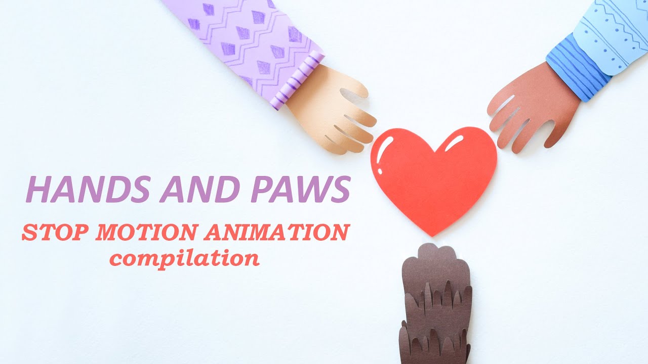 Stop Motion Animation Compilation | Hands and Paws | Margaret Scrinkl ...