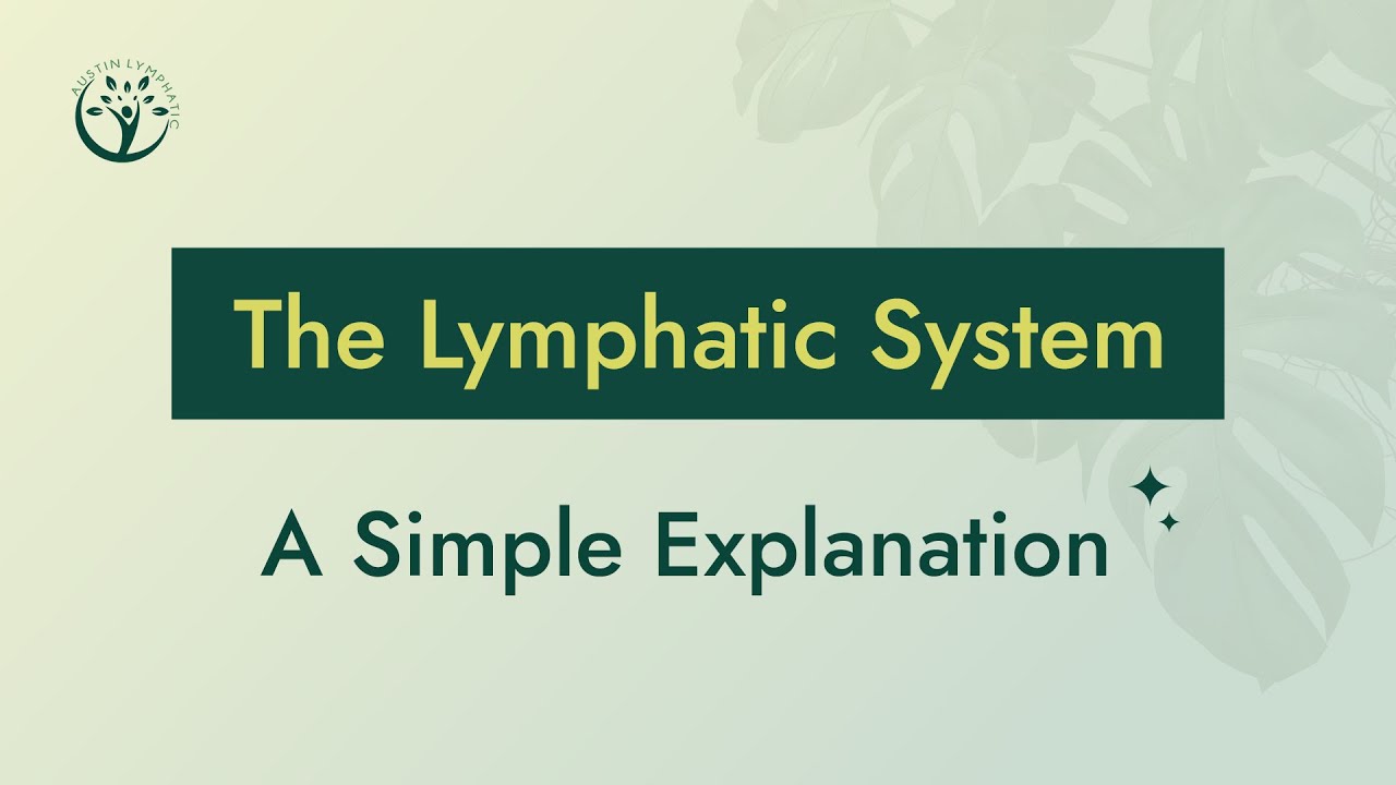 What is the Lymphatic System? A Simple Explanation - YouTube