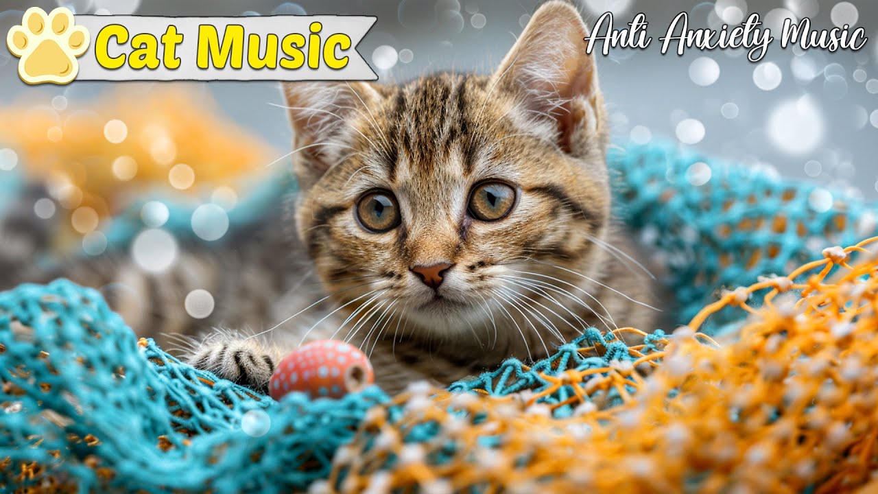 Music for Cat Lovers 😽 Calming Cat Soundscapes - Peaceful Music for ...