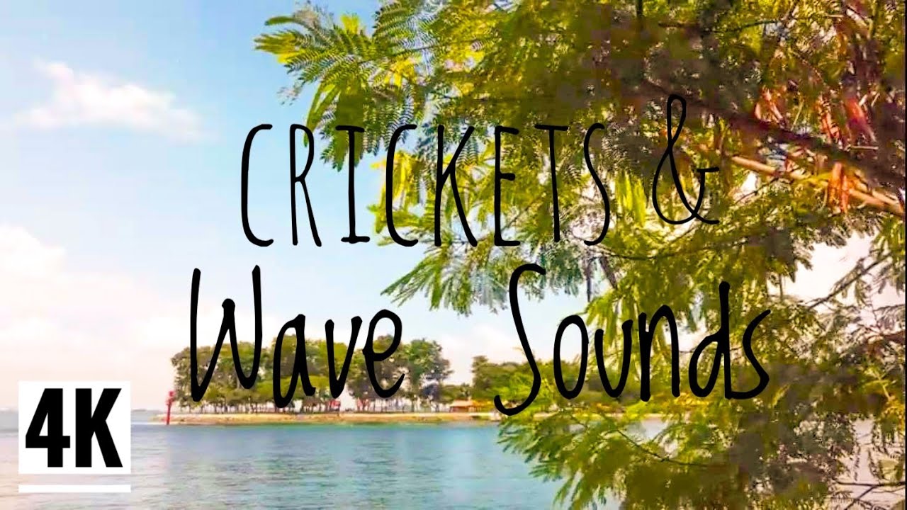 Listen Crickets and Wave Sounds along the Shore | Binaural ASMR for ...