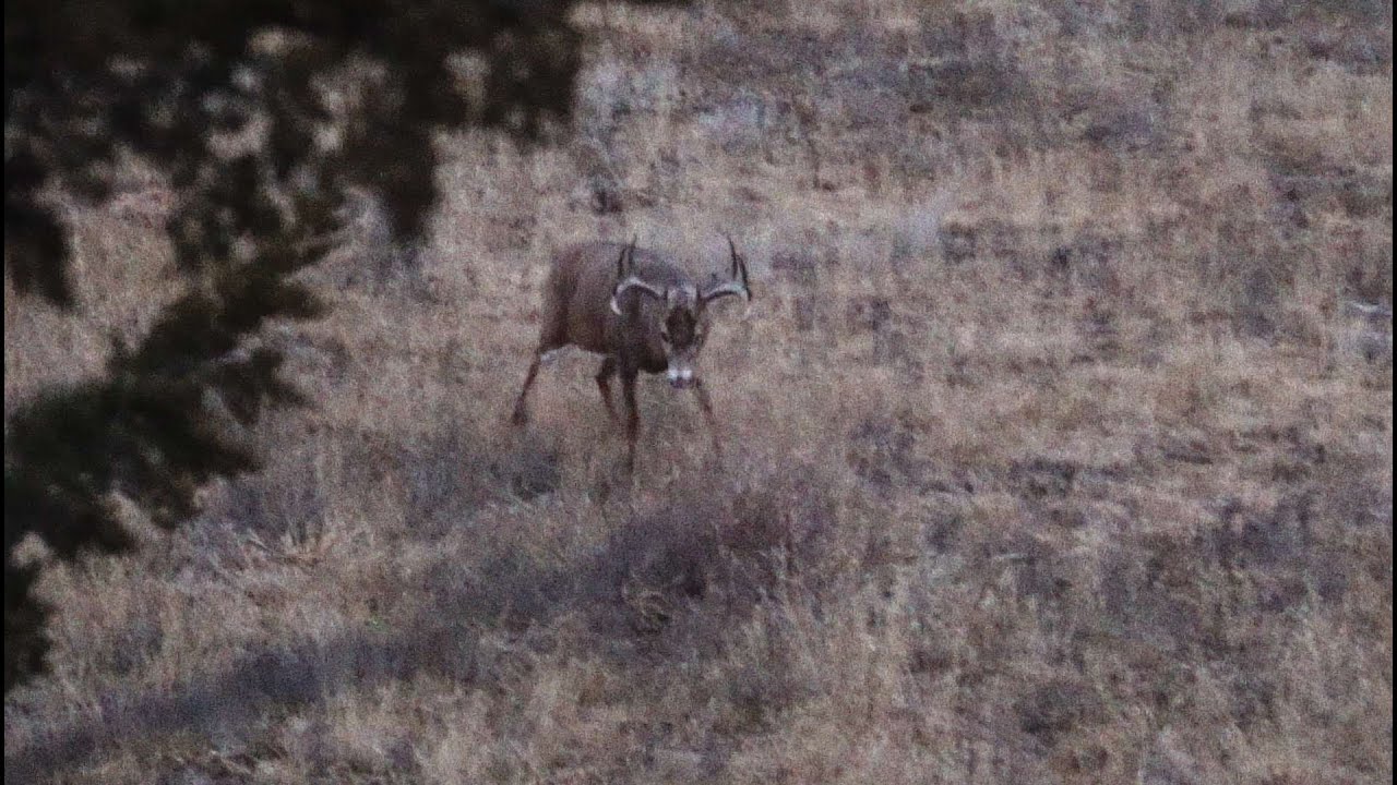 Shane's Big Buck and Insane Snort Wheezing on Nebraska Public Land ...
