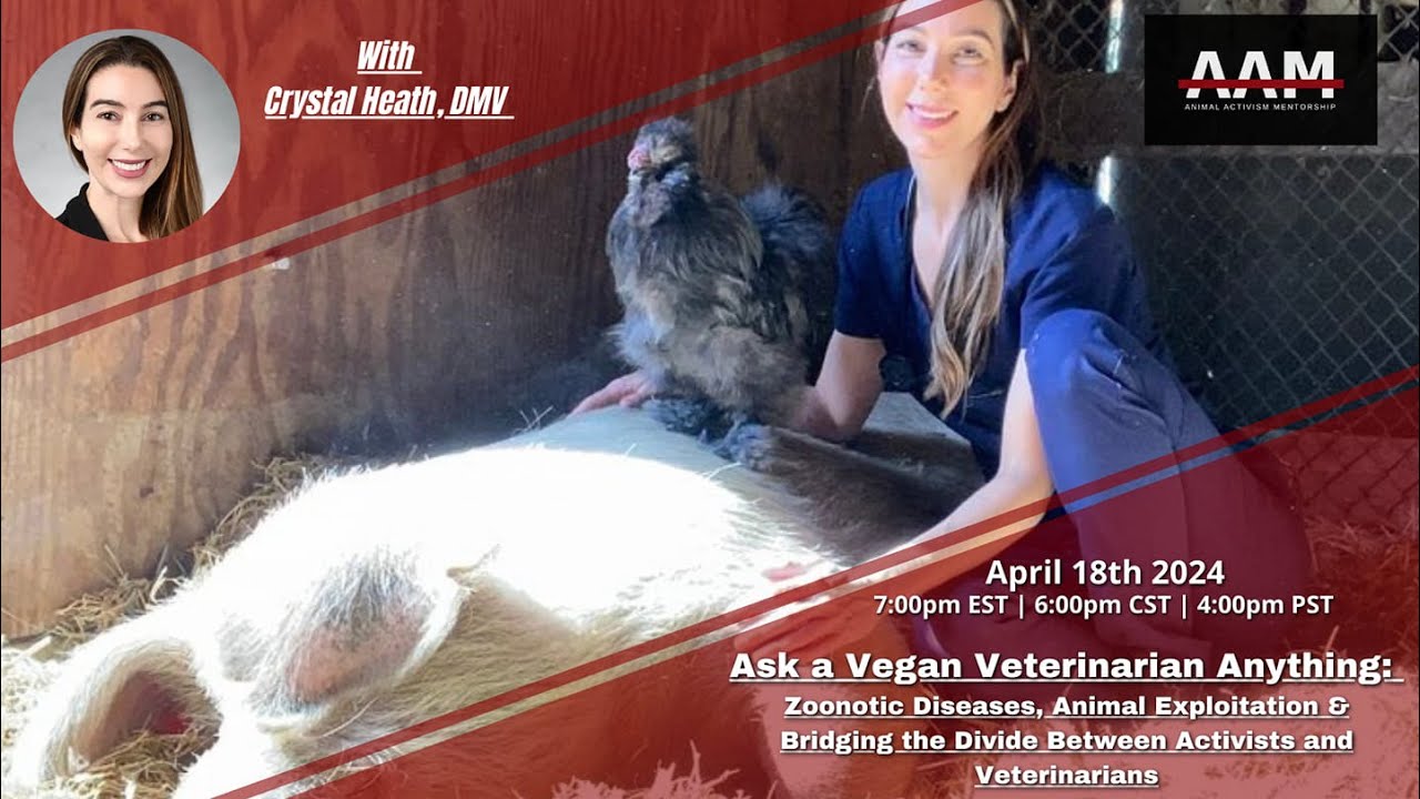 Ask a Vegan Veterinarian Anything w/ Dr. Crystal Heath - YouTube