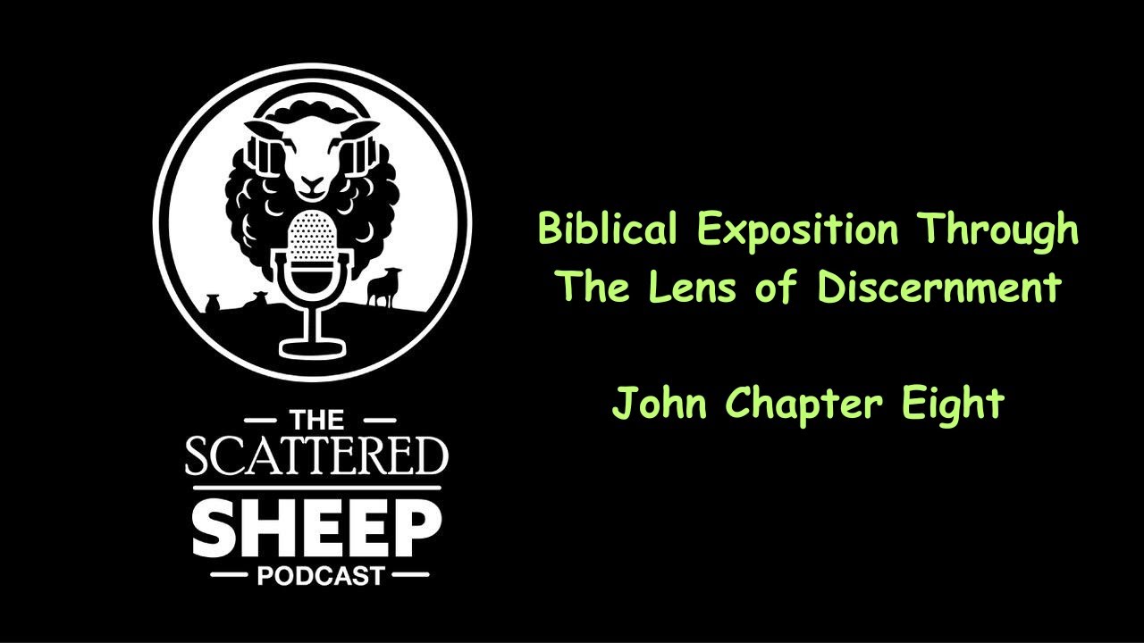 Biblical Exposition Through The Lens of Discernment - John Chapter Eight - YouTube