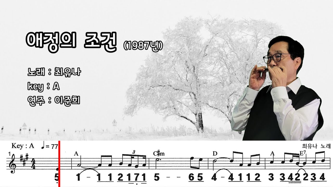 애정의 조건 (A) / 최유나 노래 하모니카 연주 - YouTube