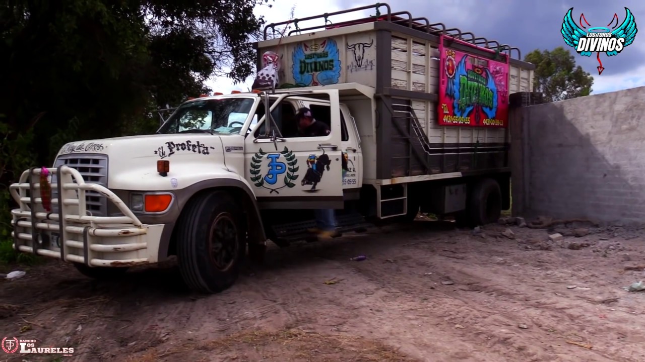SIMPLEMENTE DIVINOS!!! Los Toros Divinos En Colonia Fco Villa,Zinapecuaro 2018!! - YouTube