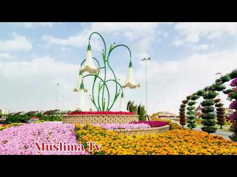 Akeed navasi nasheed Акид наваси нашид