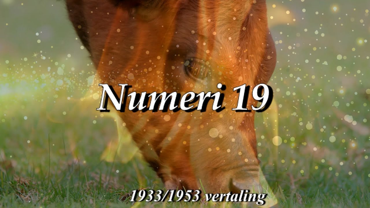 Numeri 19 - YouTube