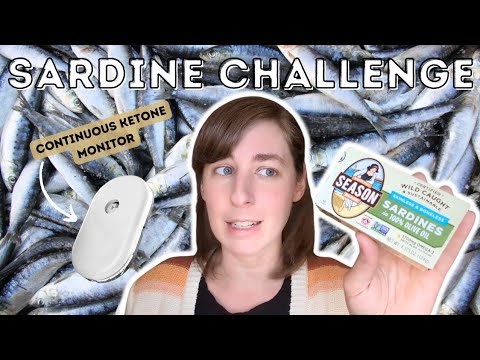 😭72 hour SARDINE Challenge **Day 1** (with a CONTINUOUS Ketone Monitor ...