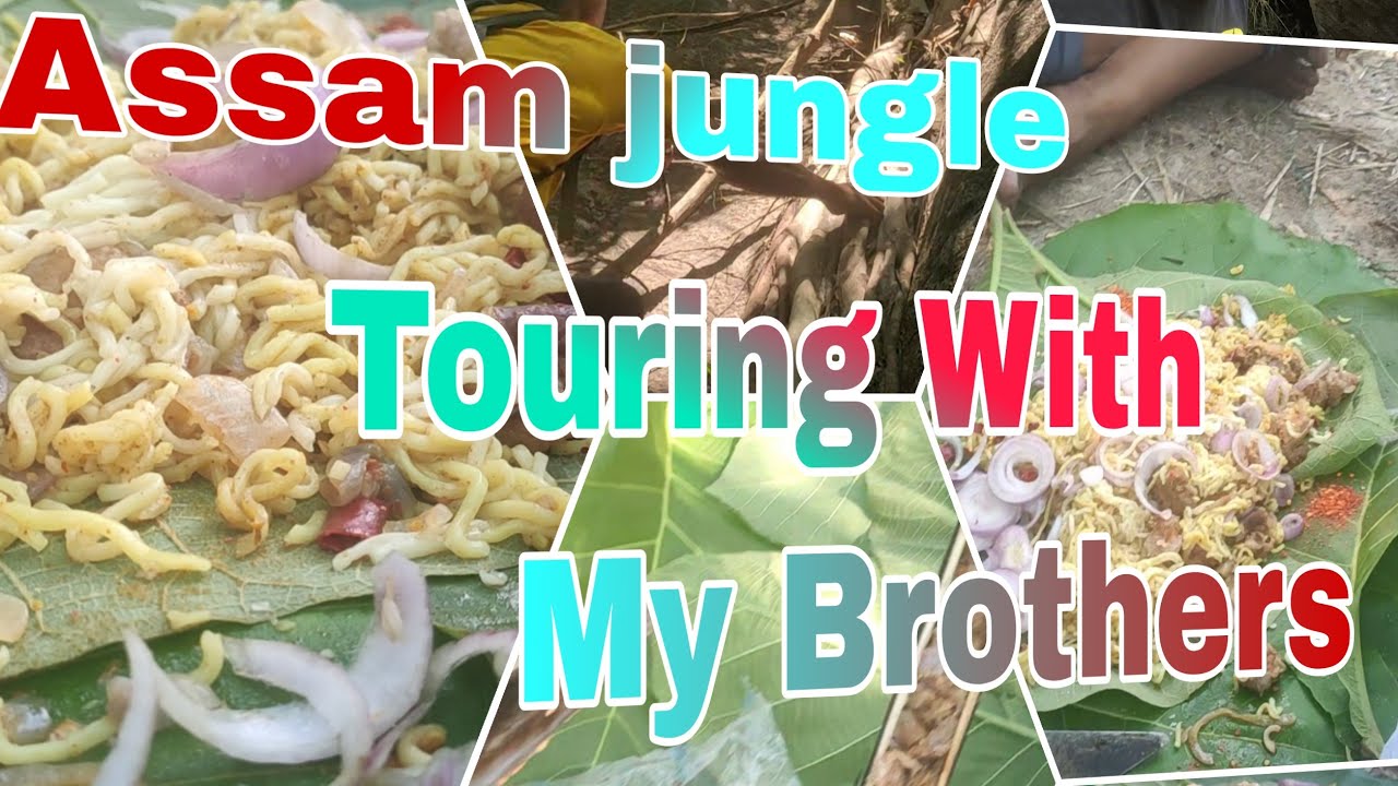 Assam Jungle Touring With My Brothers - YouTube