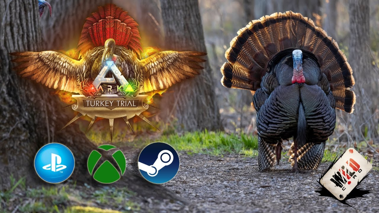 ARK'S Final EVER Turkey Trial Update! - Turkey Trial 6 - (DETAILS) - YouTube