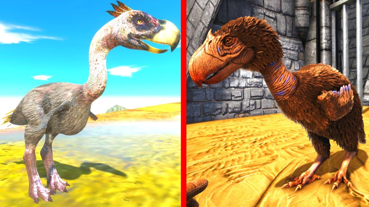 **NEW** TERROR BIRD COMPARATION - ARBS VS ARK: SURVIVAL EVOLVED - YouTube