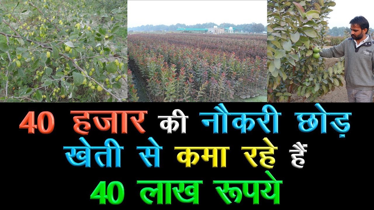 Progressive farmer earning 40 lakh with Natural Farming || Organic ...