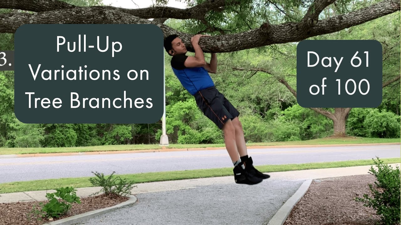 Pull-ups Variations on Tree Branches | Upper Body Strengthening - YouTube