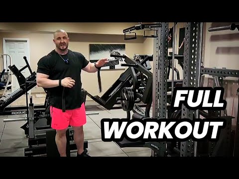 Pull Day - Rear Delts, Back & Biceps - Exercises & Technique Tips - YouTube