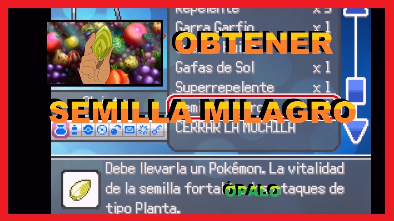 🌼¿Dónde conseguir la SEMILLA MILAGRO en POKÉMON ÓPALO?🌼 - YouTube