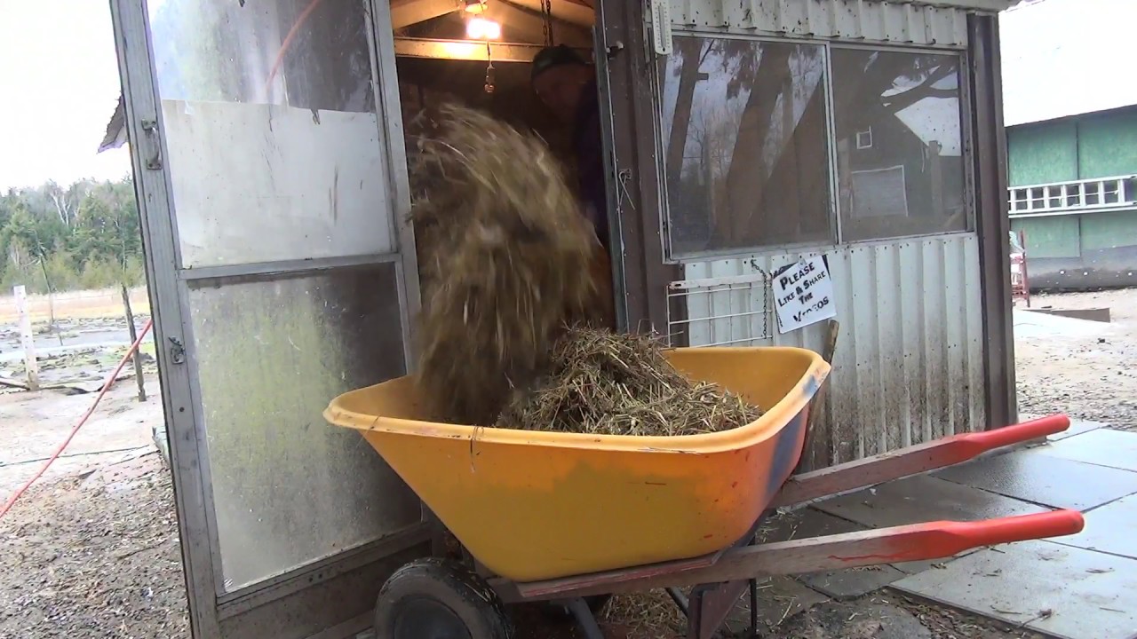 Working on the goose shed... Live Stream Nov 25, 2017 - YouTube
