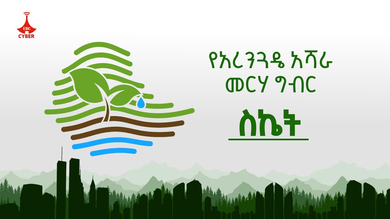 የአረንጓዴ አሻራ መርሃ ግብር ስኬት Etv | Ethiopia | News - YouTube