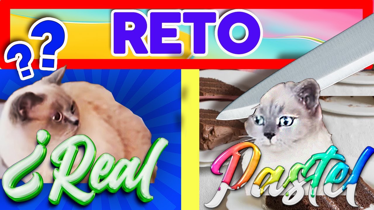 Adivina si es un Pastel o es Real, Reto visual Difícil. 😋😱👀🍰 - YouTube